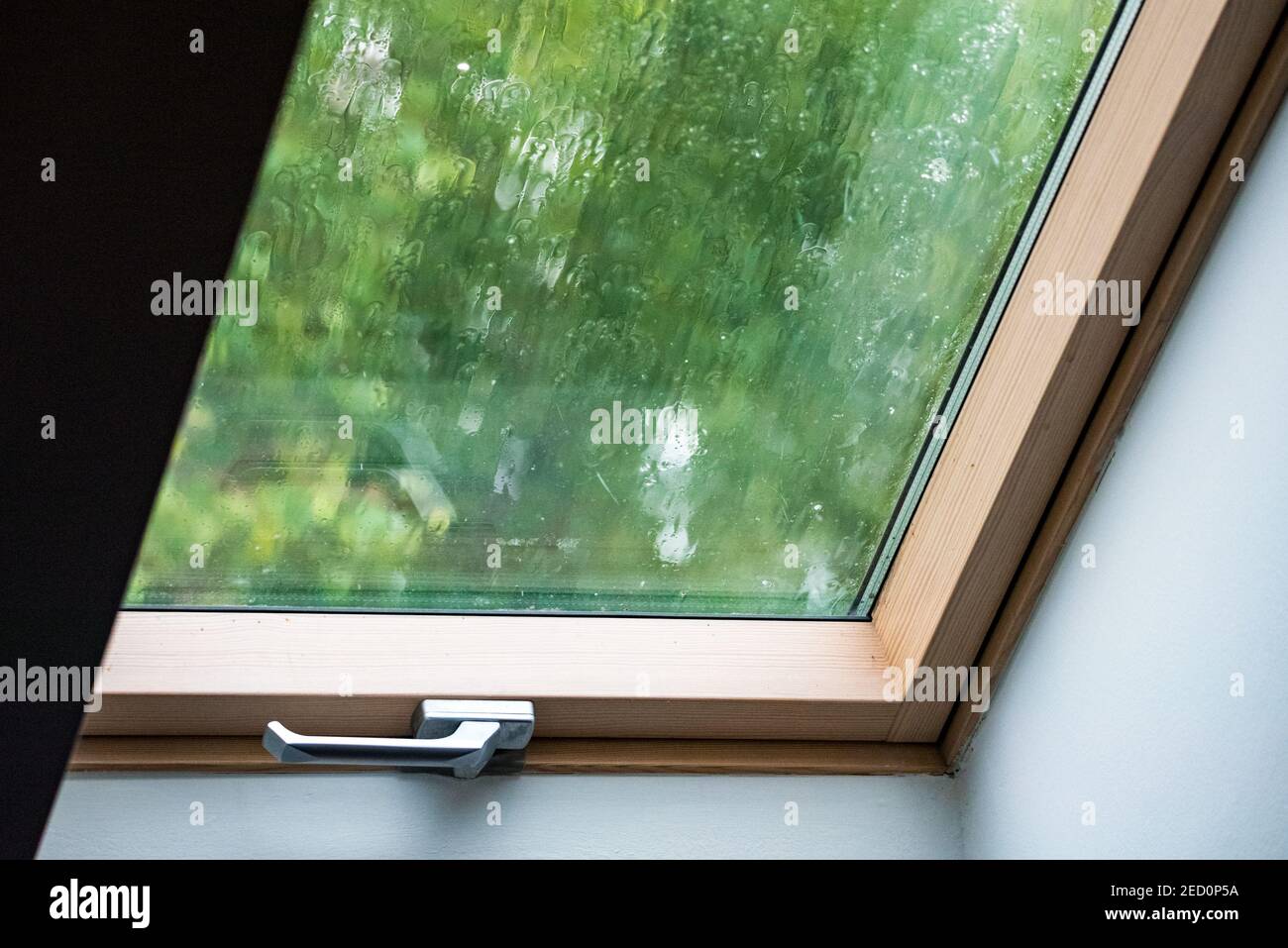 Spring outside the window. A view through the roof window to the green ...