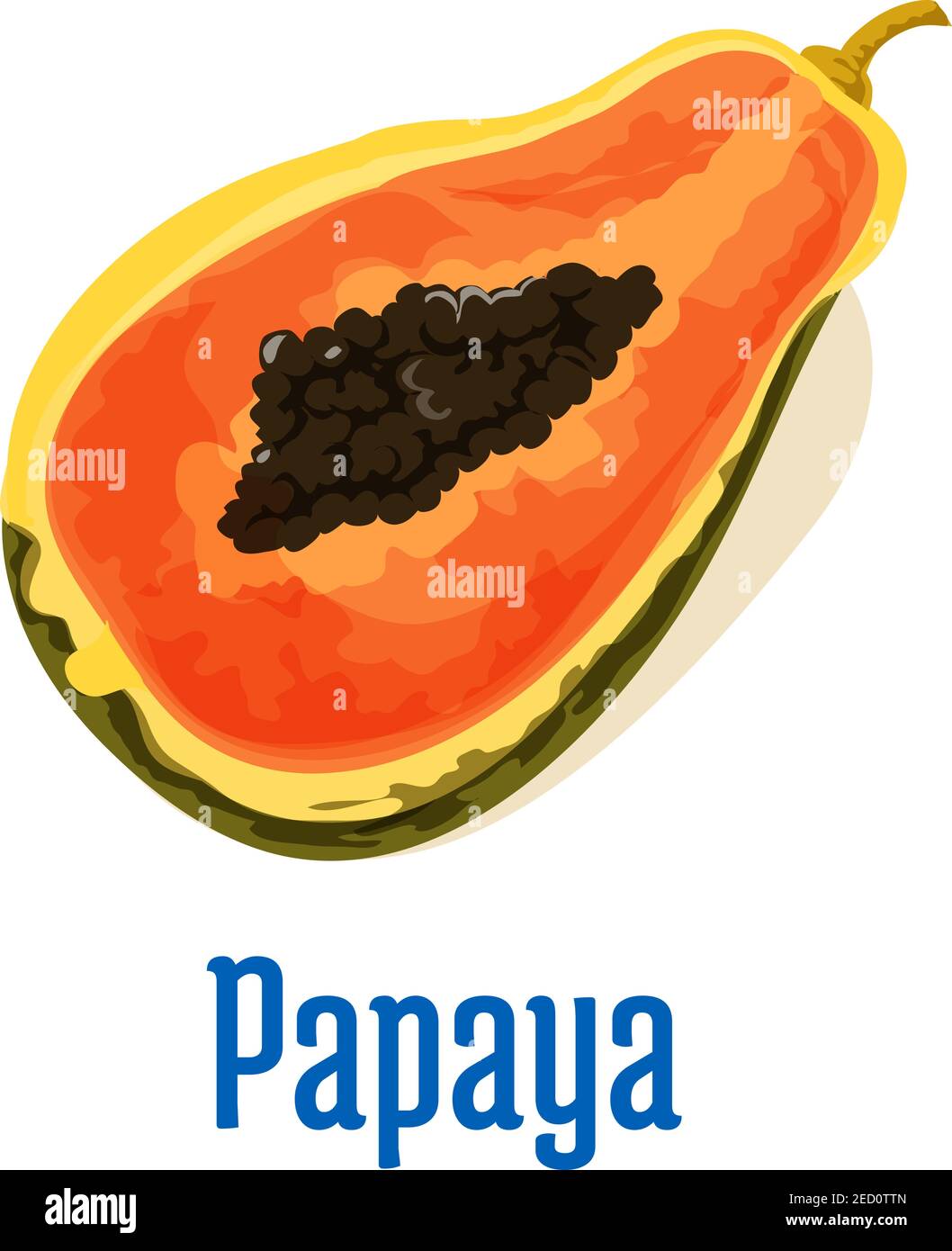 Papaya half cut icon with seeds. Vector emblem of isolated tasty exotic ...