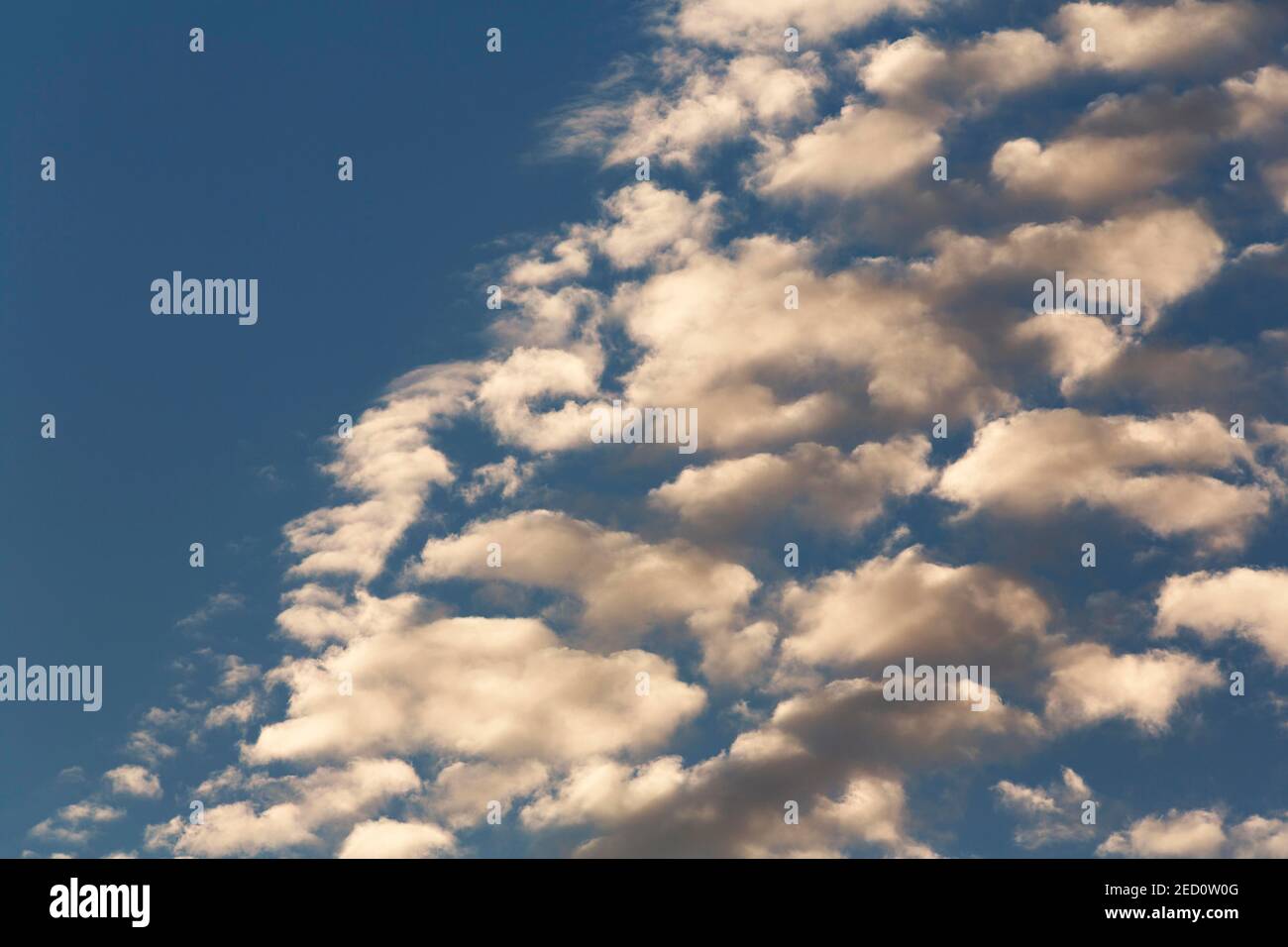 Cumulus clouds, source clouds, cumulus clouds in evening sky, wallpaper ...