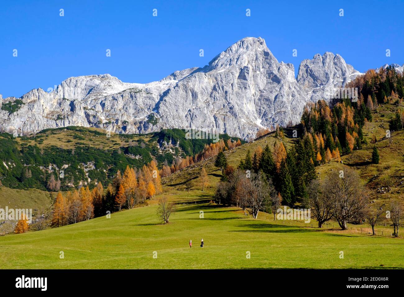 Dachstein from Hinterwinkl, Gosaukamm, Dachstein massif, Filzmoos ...