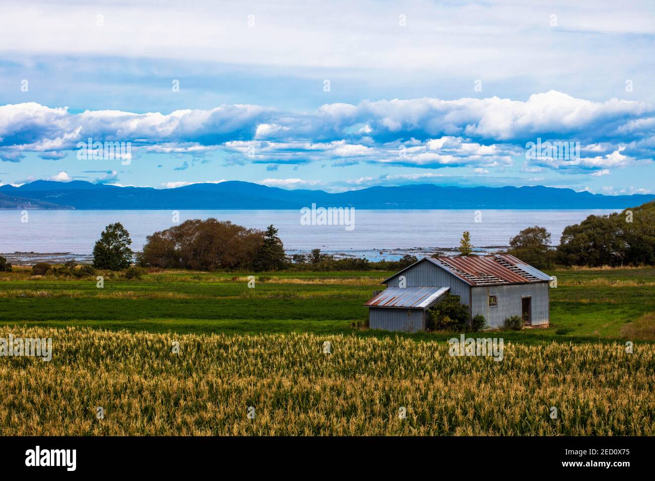 St.Lawrence River Valley with corn fields Quebec Canada Stock Photo - Alamy