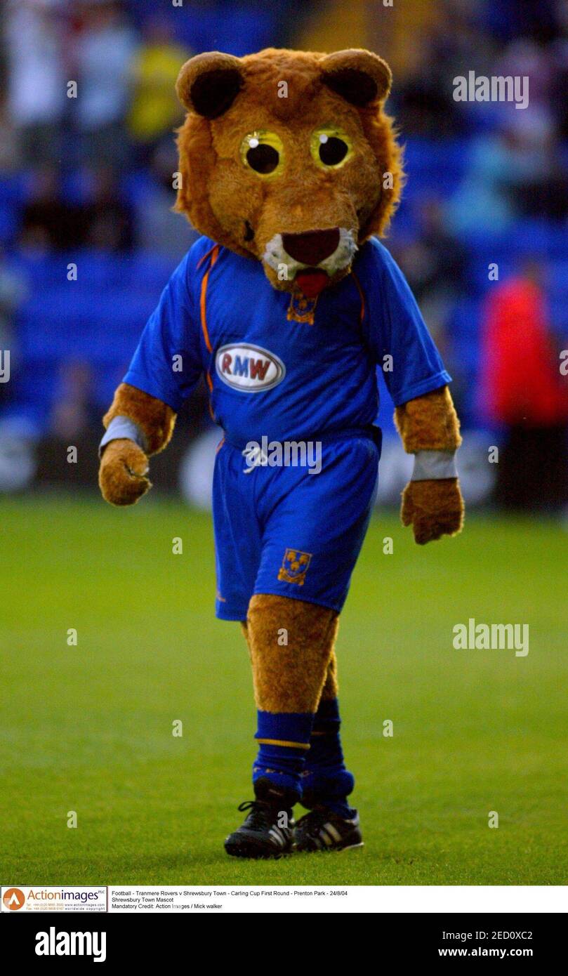 Shrewsbury town mascot hi-res stock photography and images - Alamy