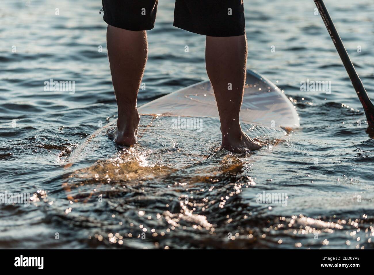 A man standing on a SUP paddleboard submerged in water Stock Photo - Alamy