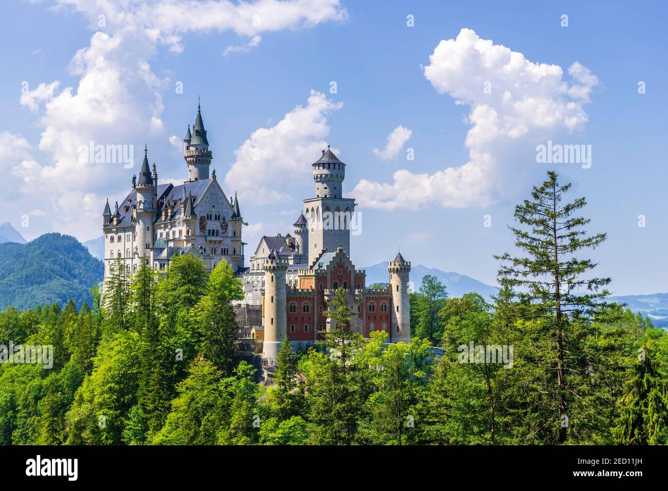 Neuschwanstein Castle in summer, near Schwangau, Ostallgaeu, Allgaeu, Swabia, Bavaria, Germany ...