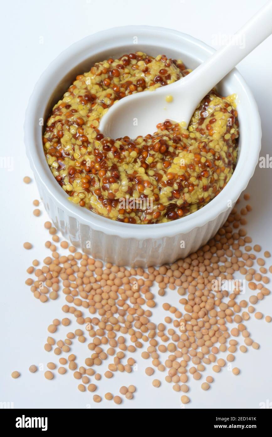 Coarse-grained Dijon mustard in shell, mustard seeds, France Stock ...