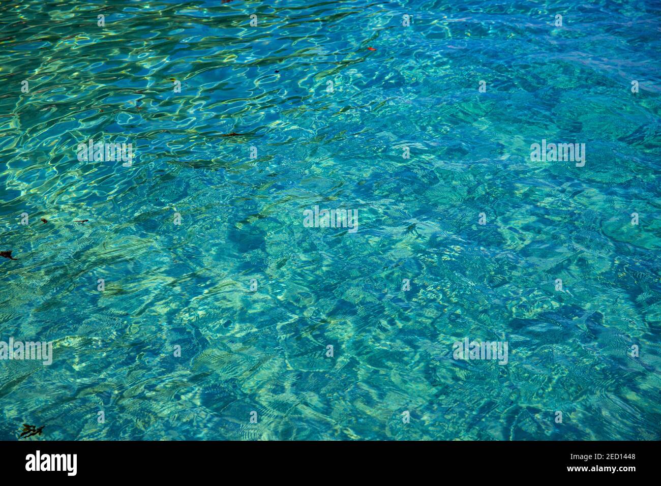 Turquoise blue tropical sea water texture. Seawater closeup photo ...