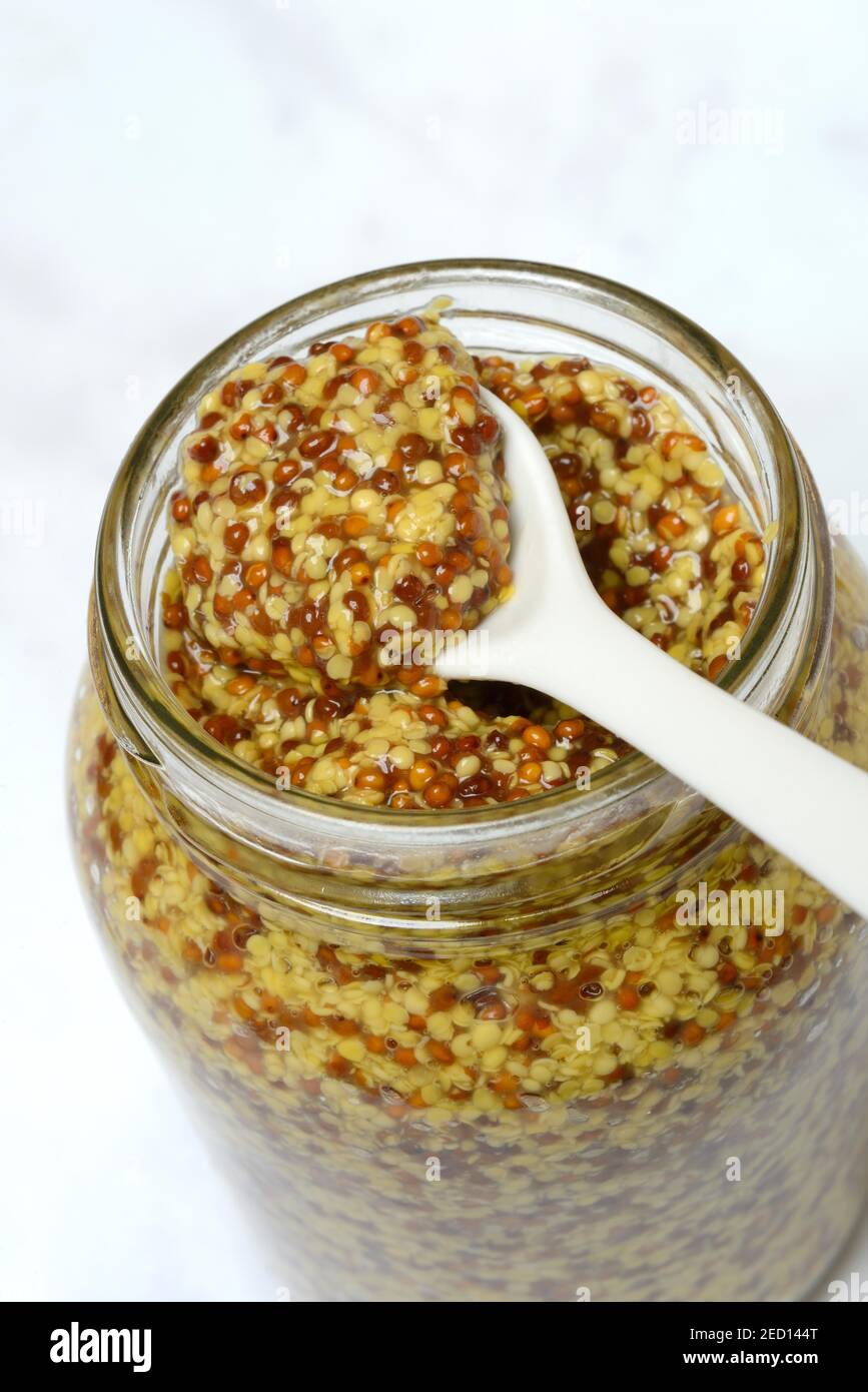 Coarse-grained mustard in glass with spoon, Dijon mustard, France Stock ...