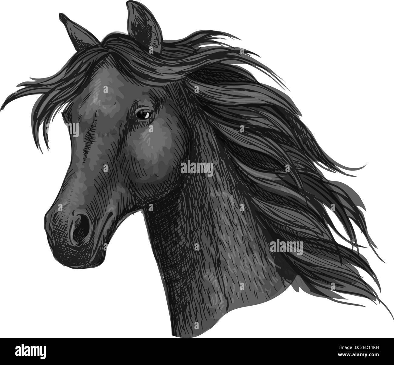 Dark raven horse Stock Vector Images - Alamy