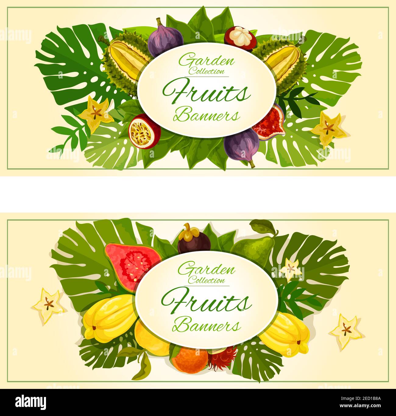 Tropical garden fruits banners with vector carambola, mangosteen ...