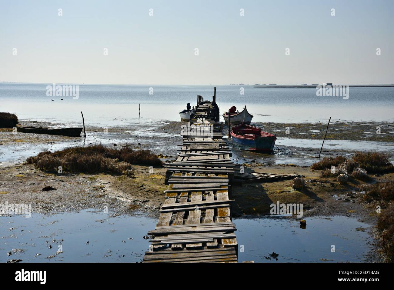 Landscape with traditional Greek fishing boats on the waters of Axios River (Axios Delta ...