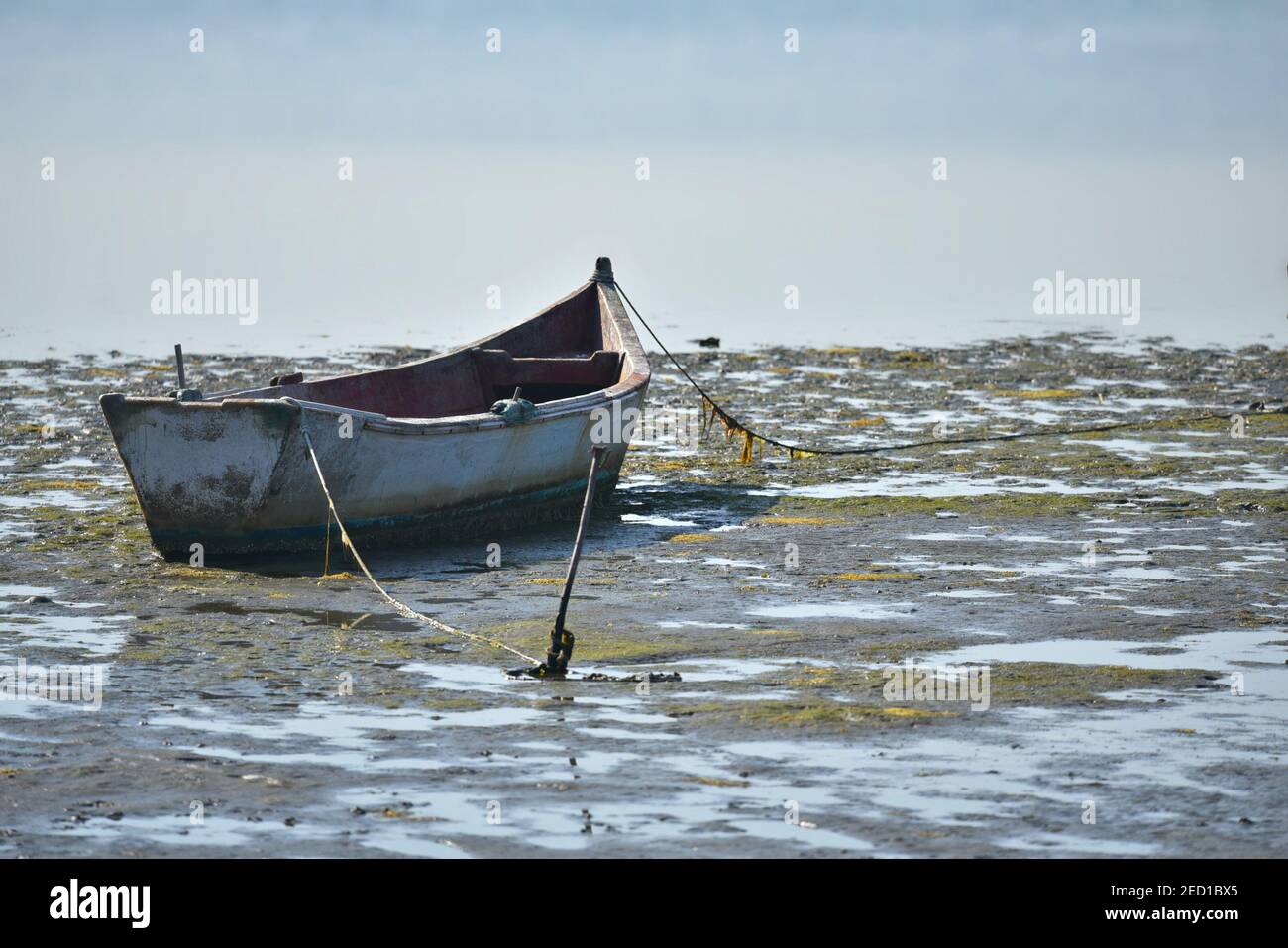 Landscape with a traditional Greek fishing boat on the waters of Axios ...