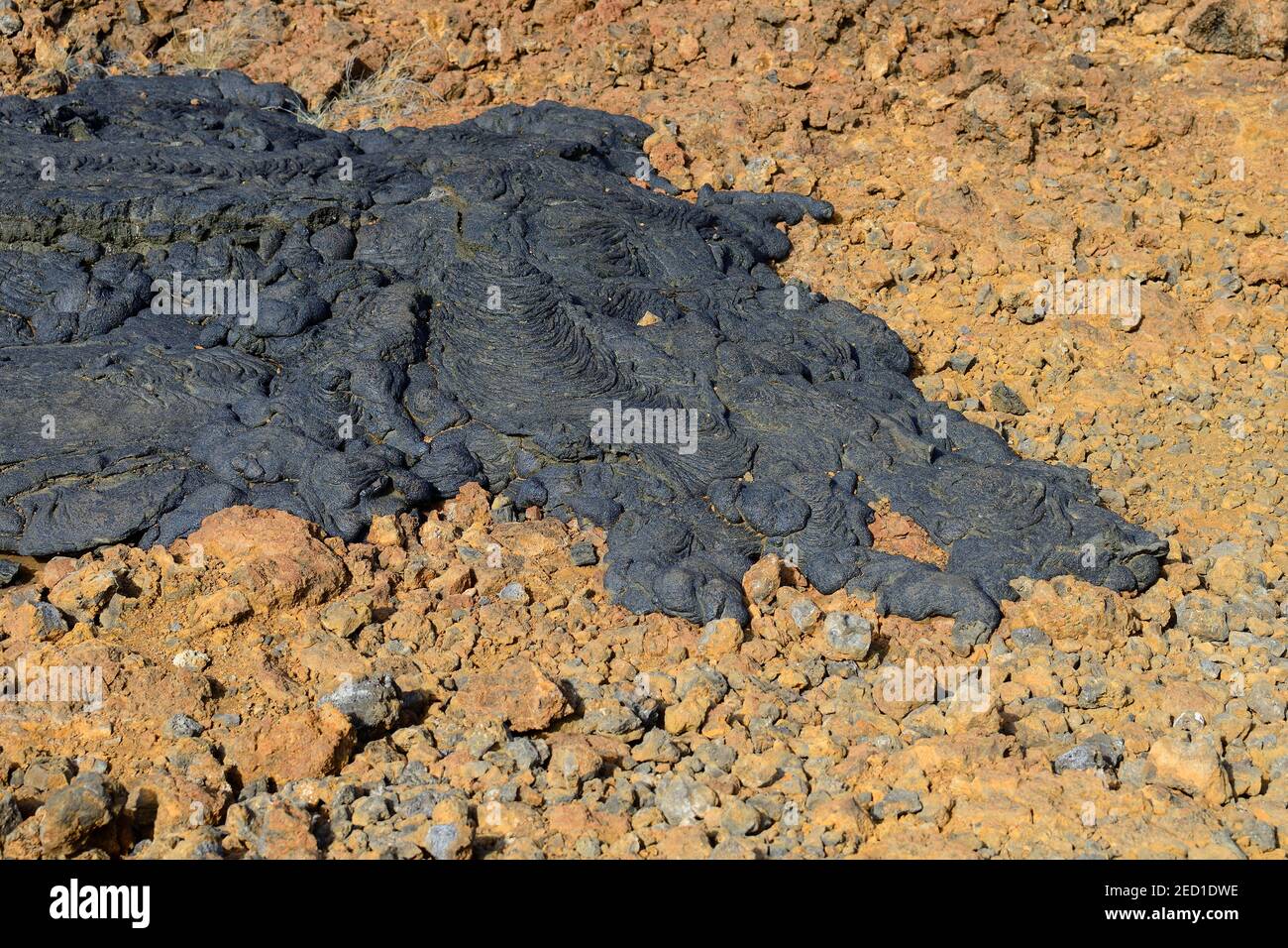 Solidified black lava flow, Sullivan Bay, Santiago Island, Galapagos ...