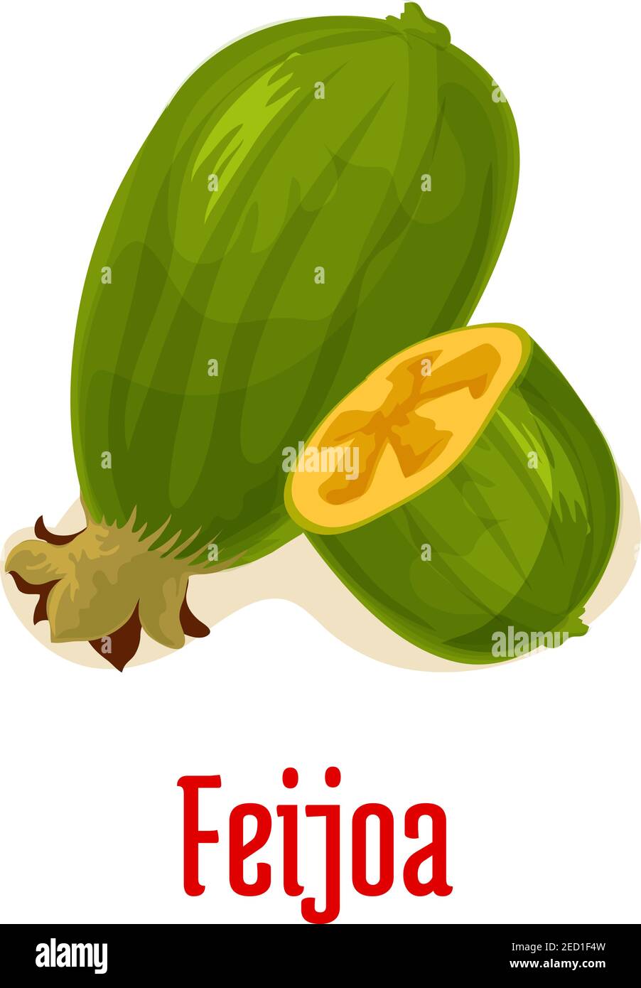 Feijoa fruit. Exotic brazilian feijoa icon. Vector isolated south ...