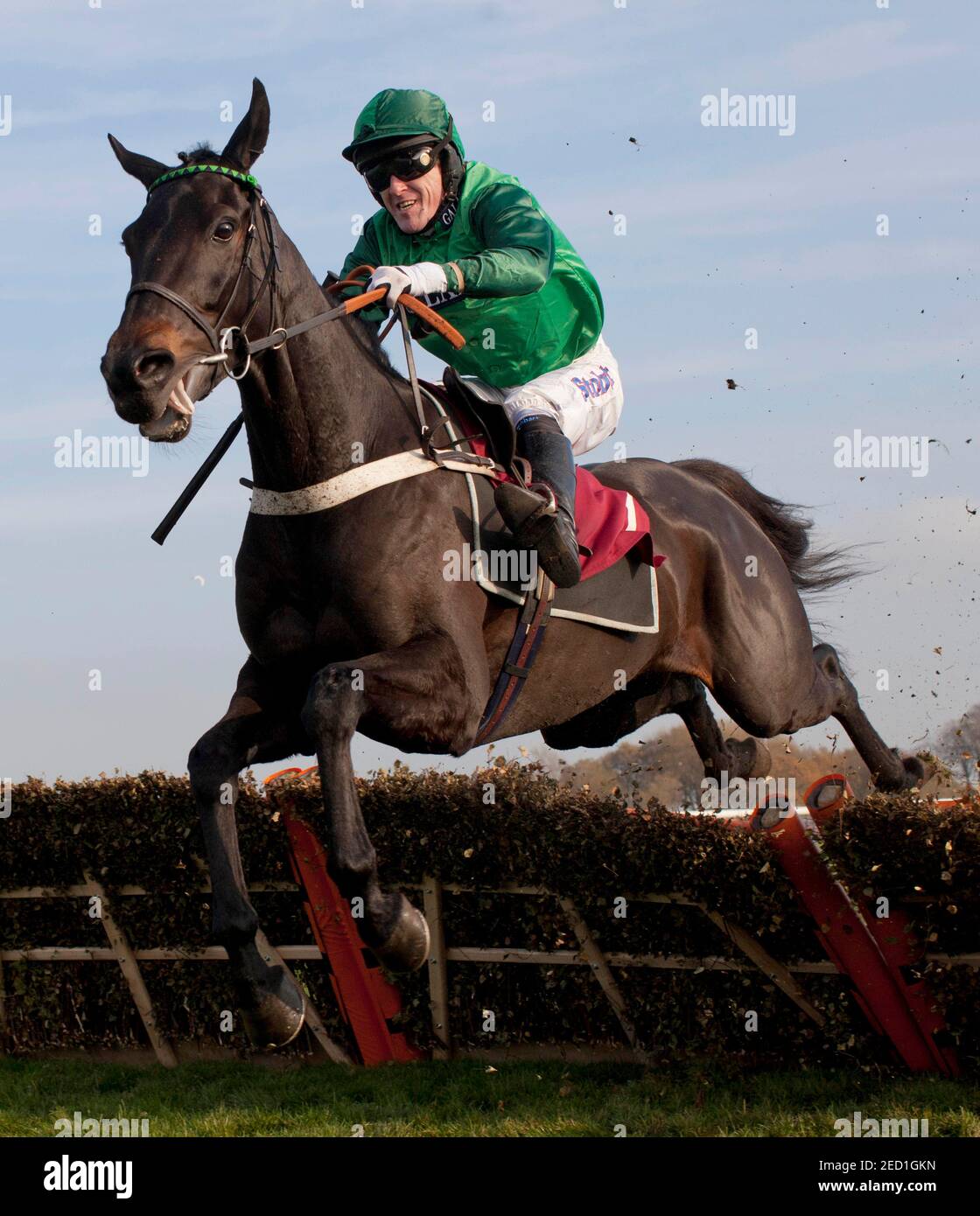 Haydock horse hi-res stock photography and images - Alamy