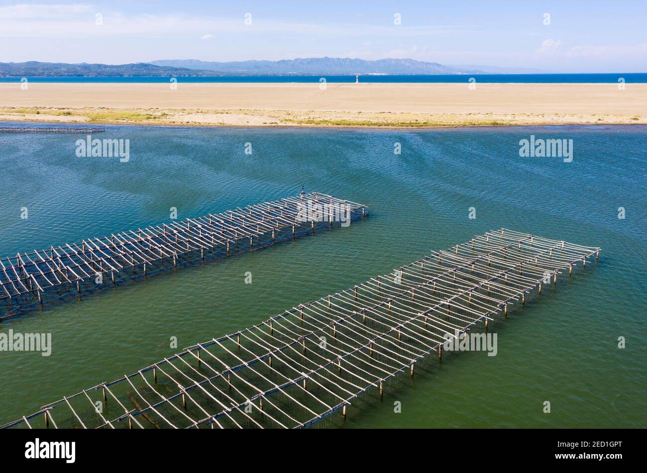 Aerial of mussel aquaculture hi-res stock photography and images - Alamy