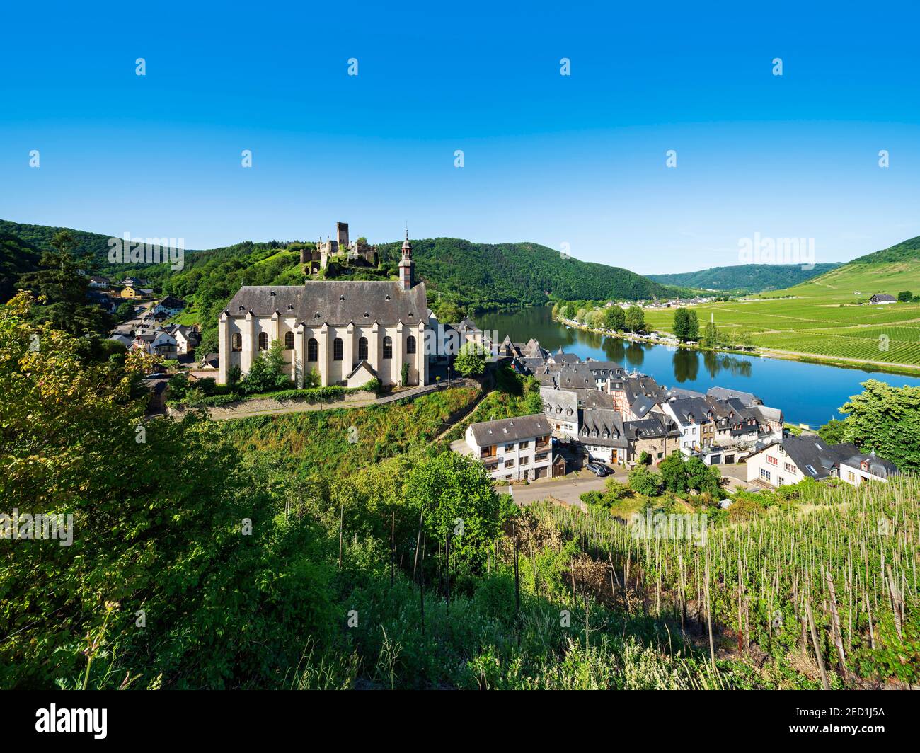 Winegrowing village Beilstein at the river Moselle with Carmelite ...