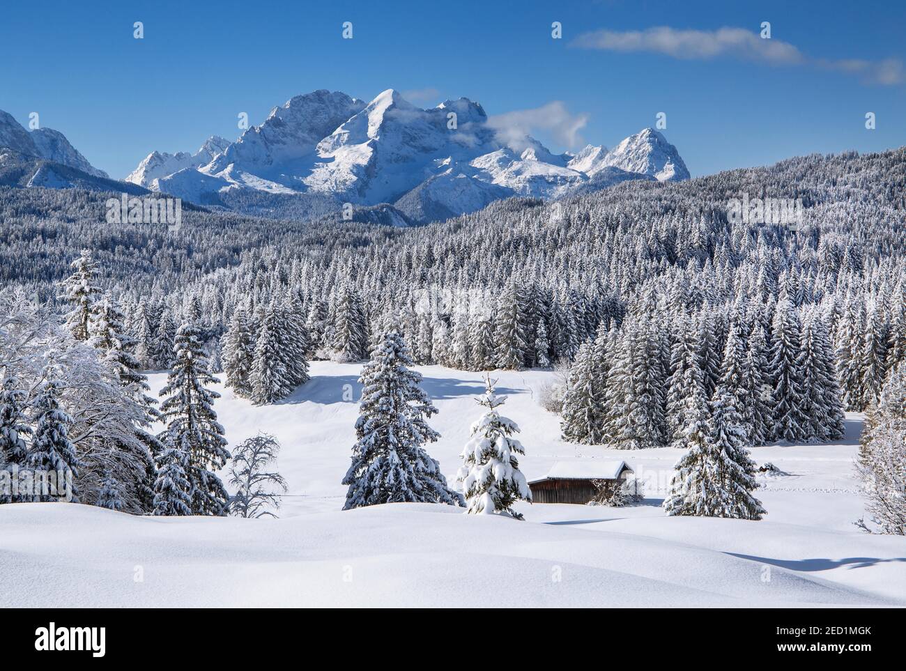 Hummocky meadow hi-res stock photography and images - Alamy