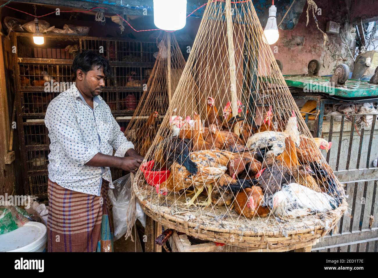 Vendor selling chicken, Chicken market, Kawran Bazar, Dhaka, Bangladesh ...