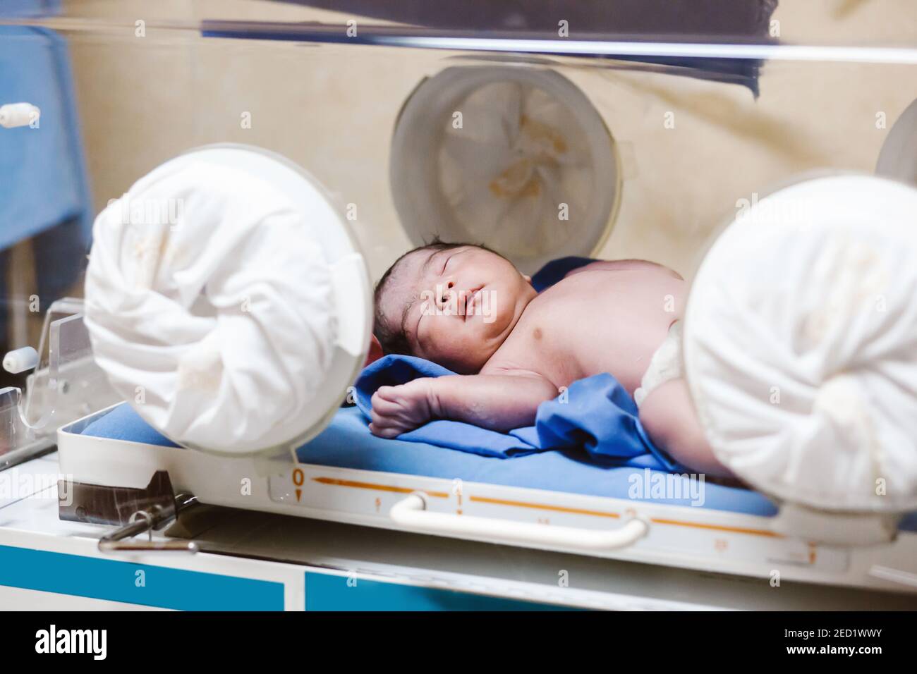 Mexican Newborn Baby Pictures