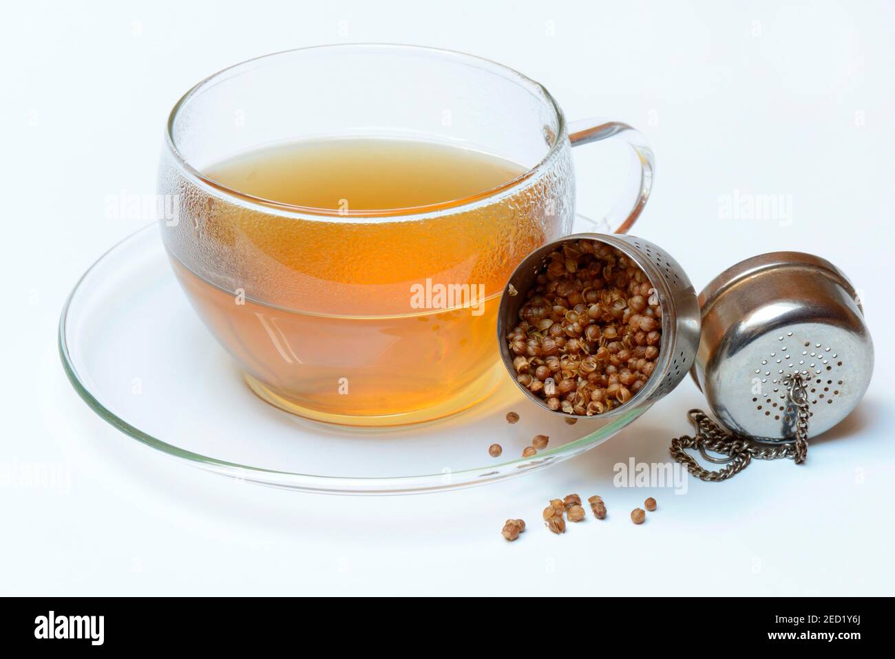 Cup coriander tea and seeds in tea-egg, coriander tea Stock Photo - Alamy