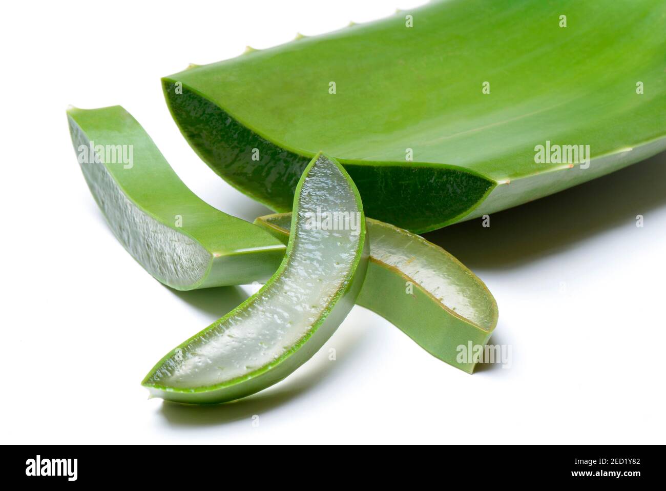 Cut aloe vera leaf hi-res stock photography and images - Alamy