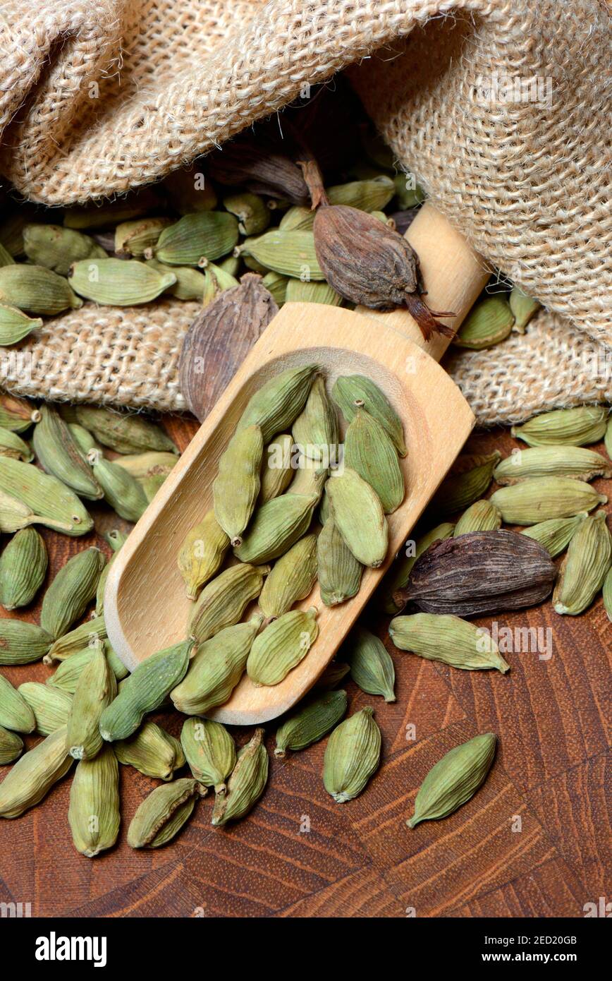 Interior bag hi-res stock photography and images - Alamy