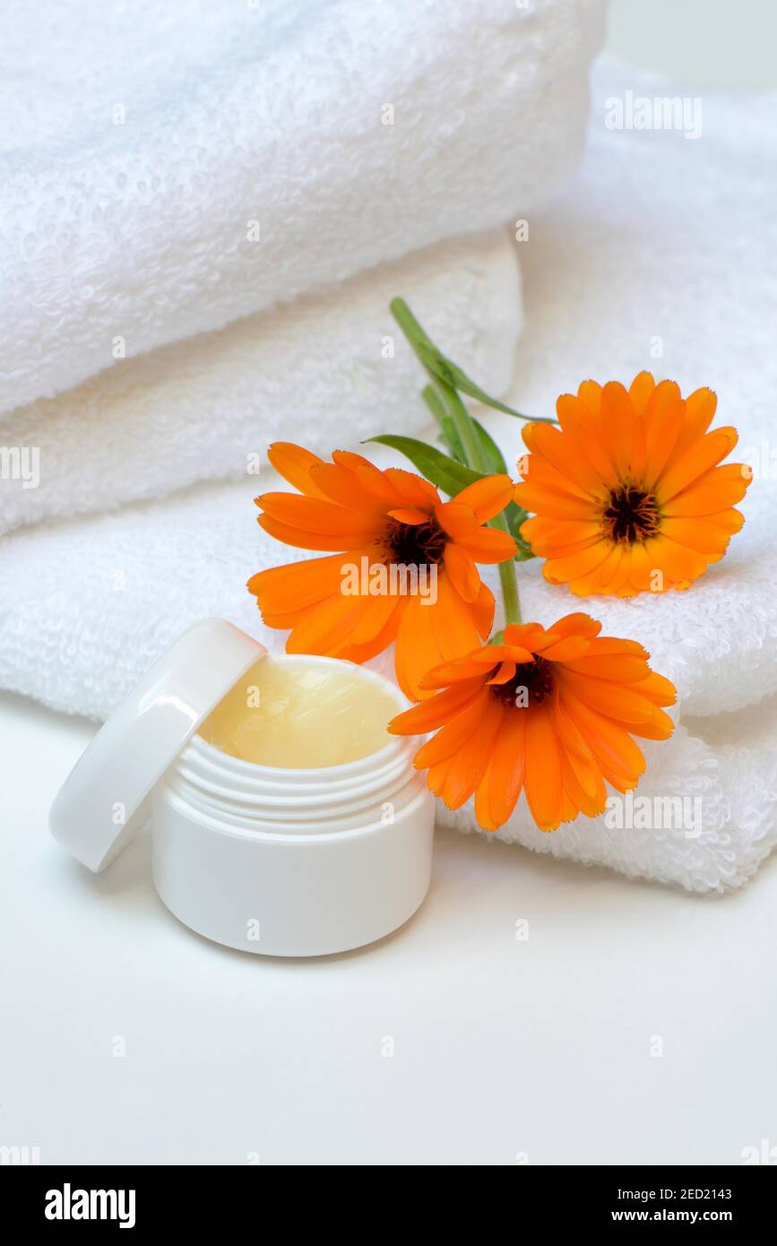 Marigoldsointment and flowers, ointment Stock Photo - Alamy