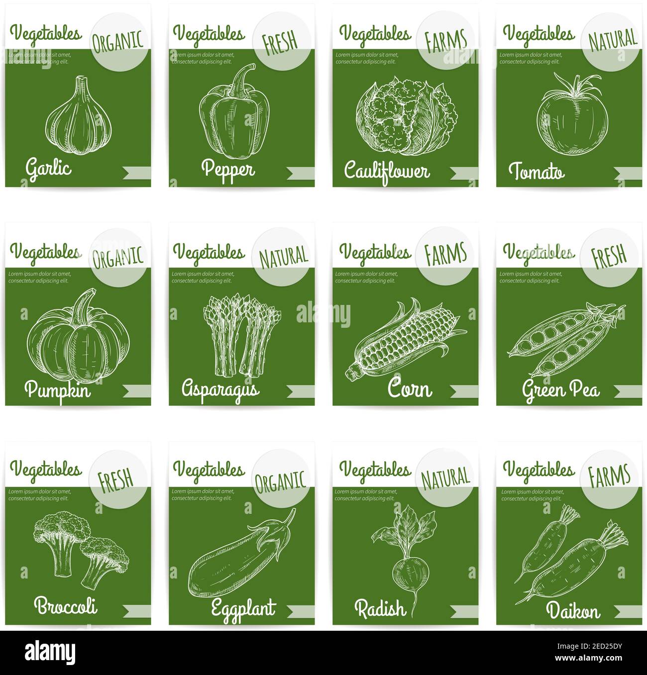 Vegetables. Fresh organic natural farm vegetable products. Chalk sketch ...