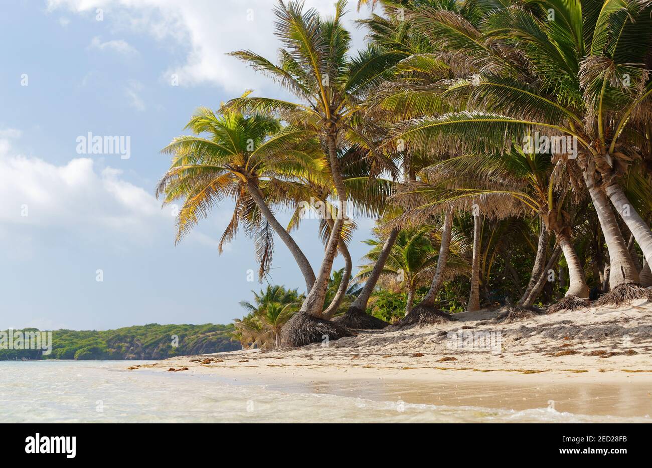 Martinique scenery hi-res stock photography and images - Alamy