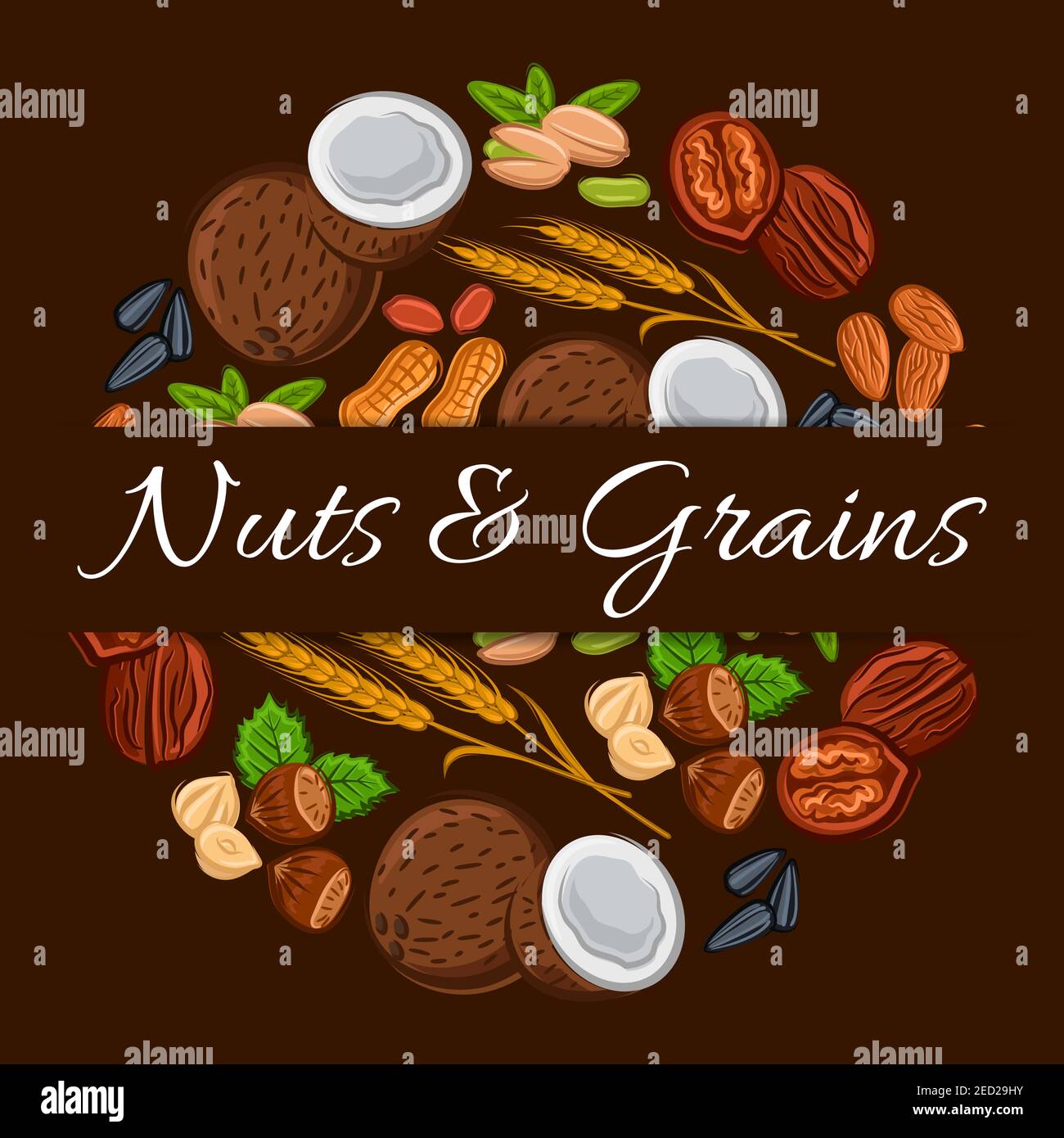 Nuts and grains in round shape emblem. Nutritious coconut, almond ...