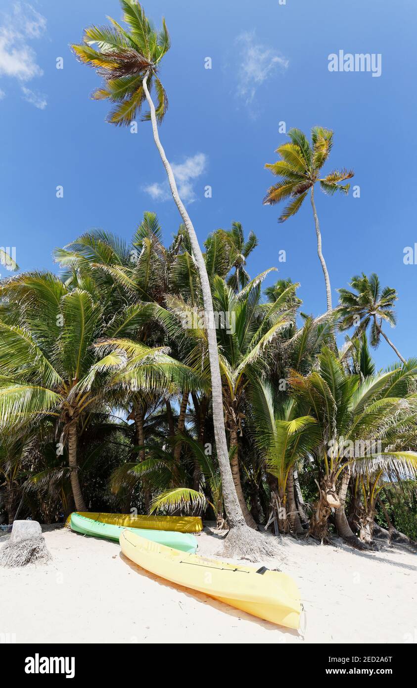 Martinique scenery hi-res stock photography and images - Alamy