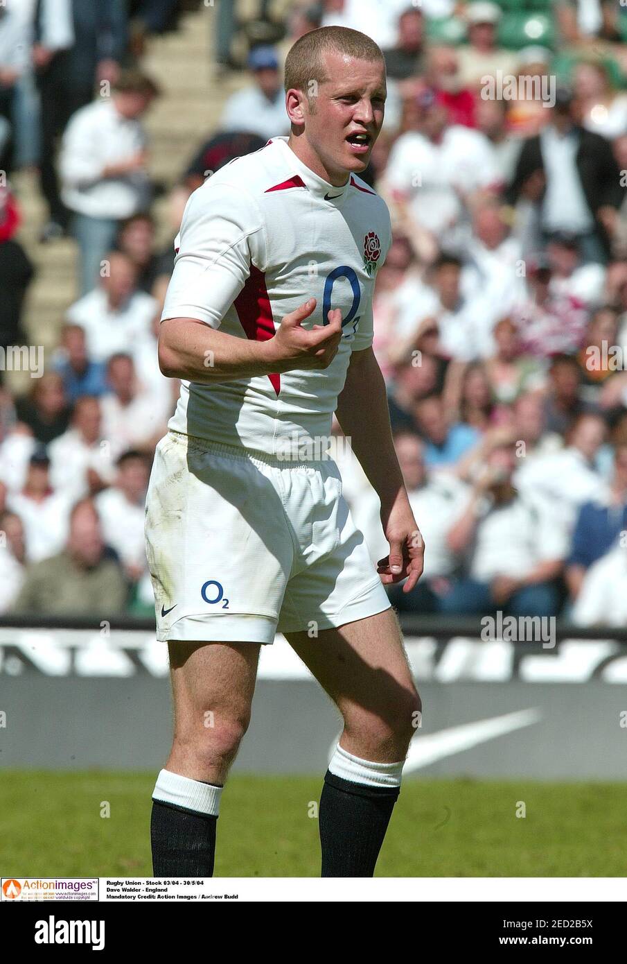 Andrew walder hi-res stock photography and images - Alamy