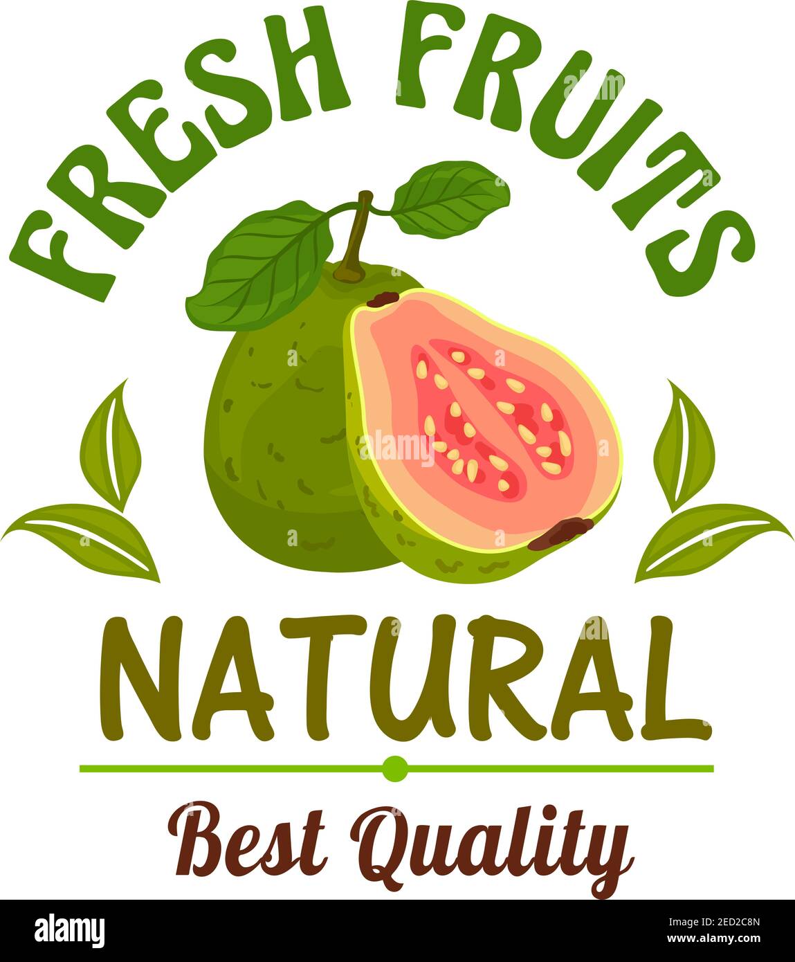 Guava. Fresh natural fruit emblem. Best quality guava fruit sticker for ...