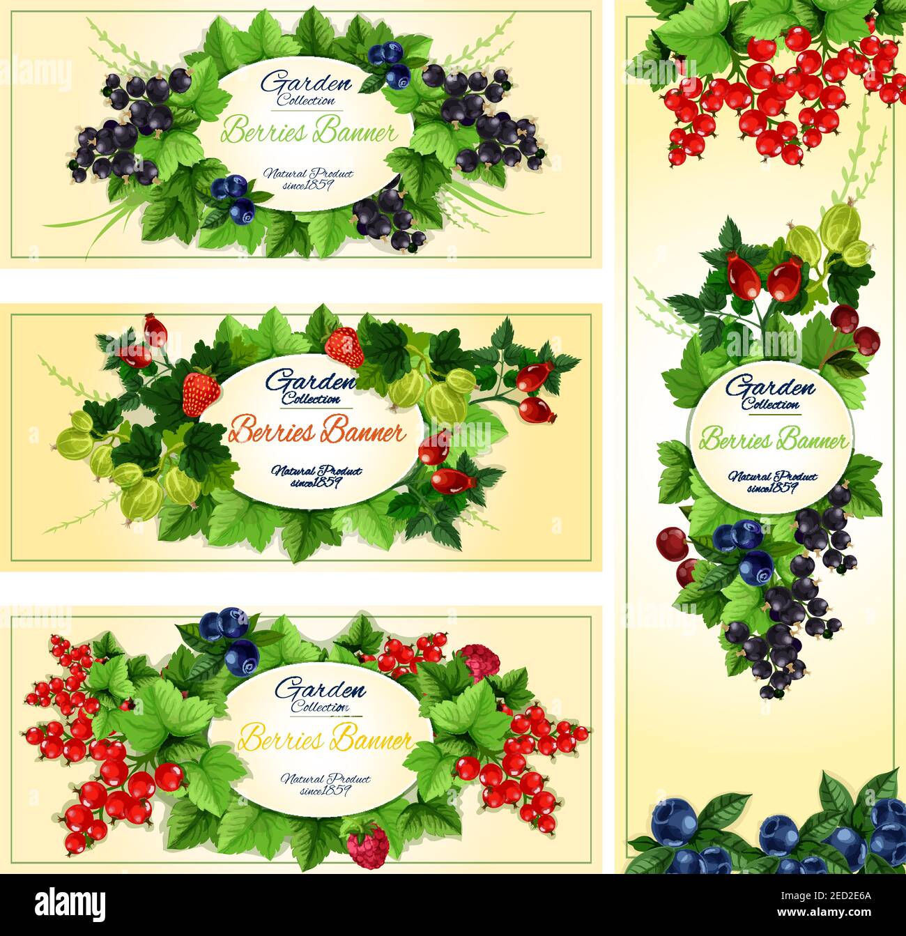 Summer berry banner with fruit frames, surrounded by strawberry, cherry ...