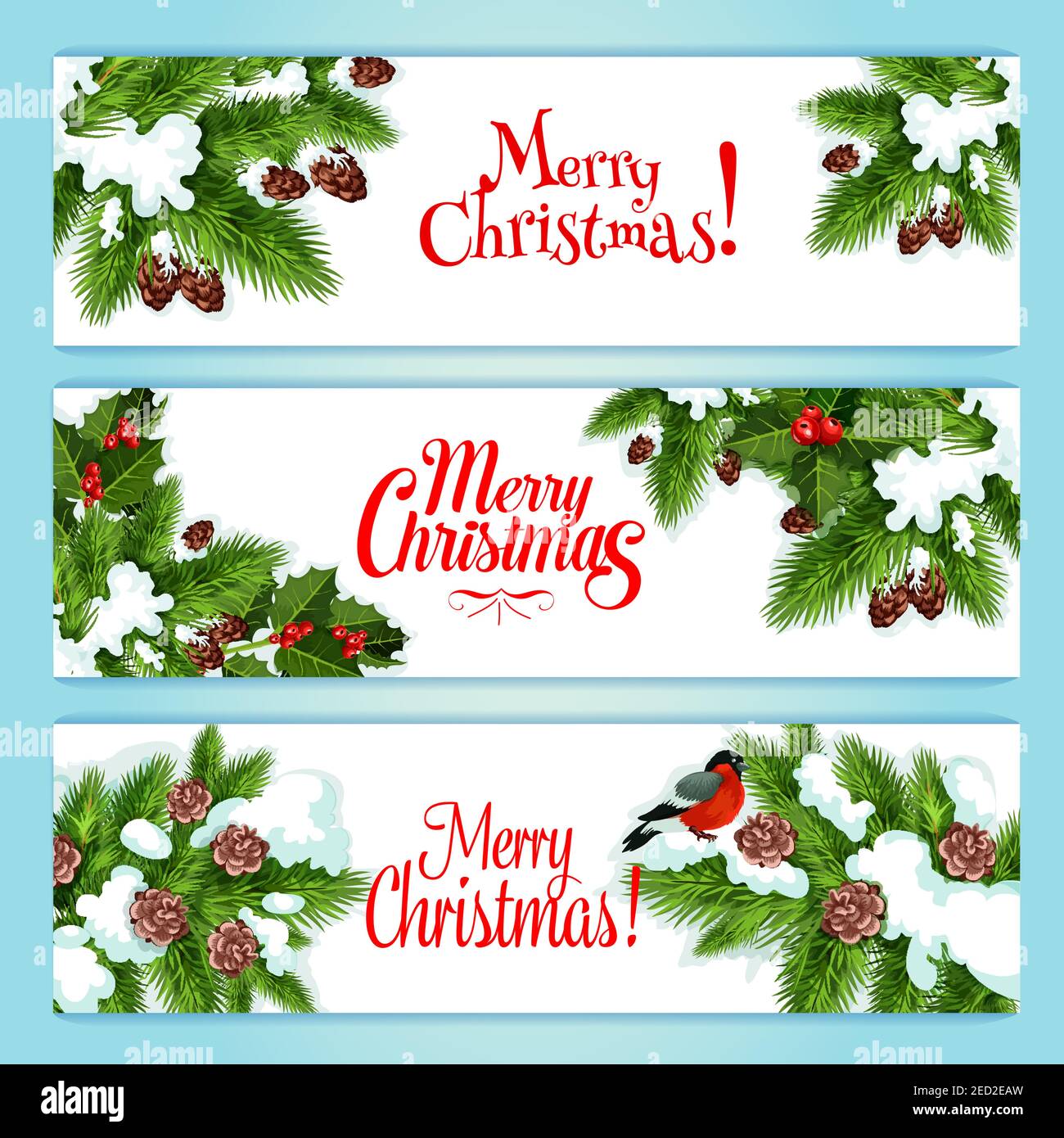 Merry Christmas banner set. Holly berry and xmas tree green branches ...