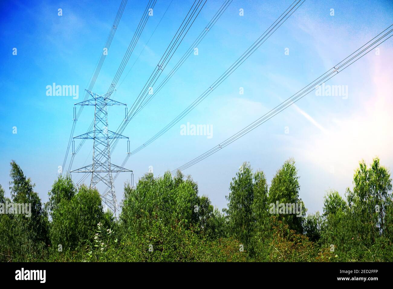 High voltage transmission towers line Stock Photo - Alamy