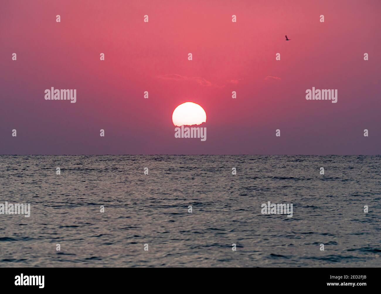 big sun down over sea sunrise, red sky Stock Photo - Alamy