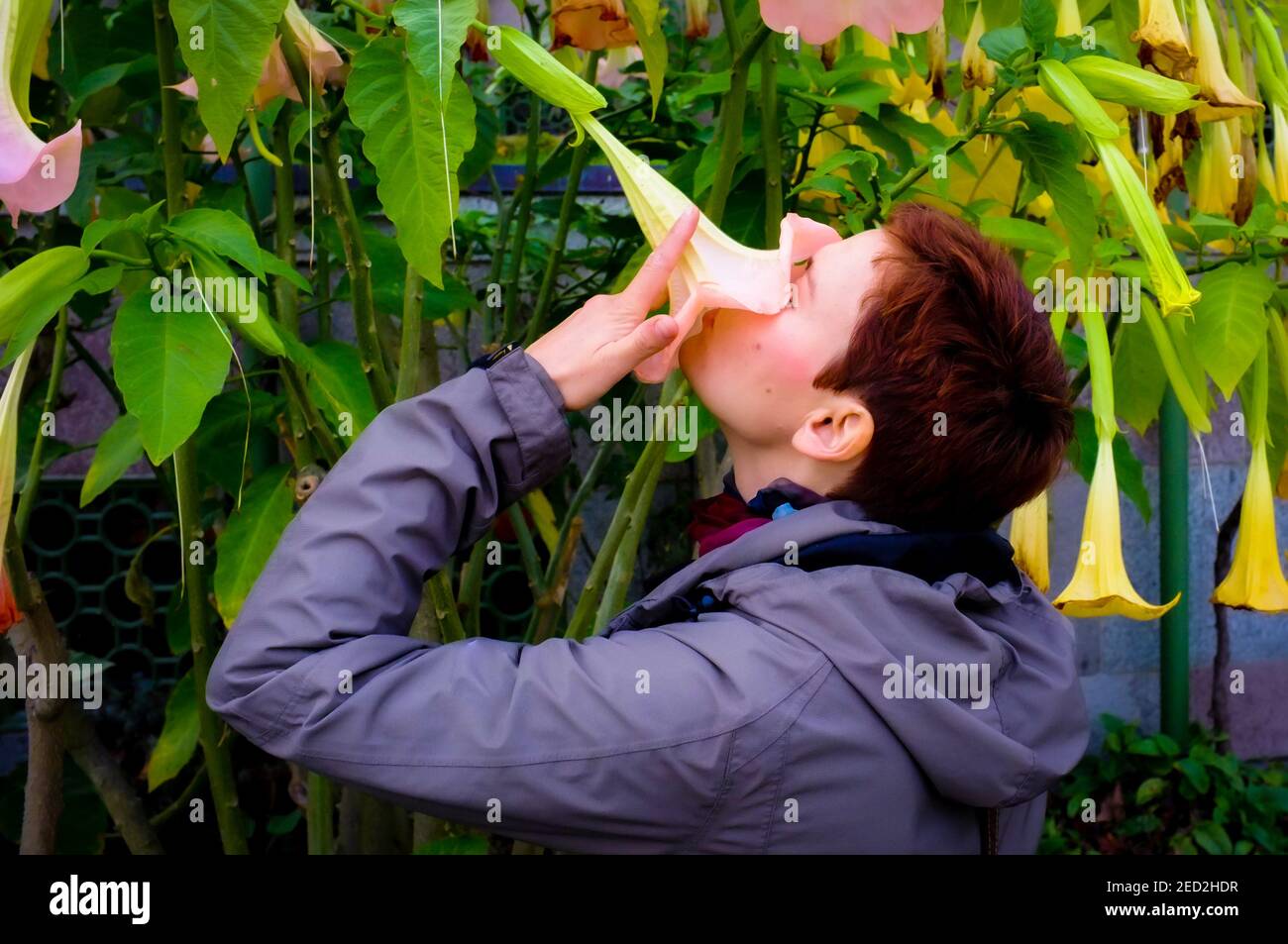 Girl smelling a lilly Stock Photo - Alamy