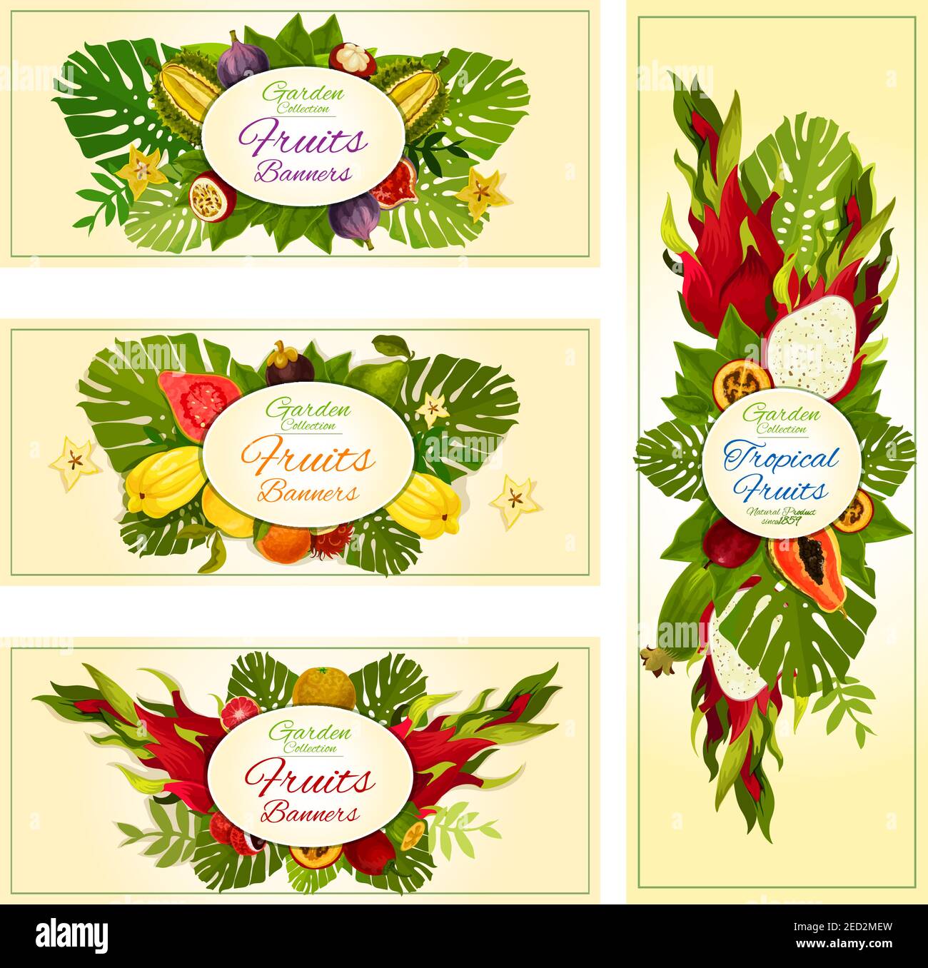 Tropical fruit banners with orange, exotic dragon fruit, feijoa, papaya ...