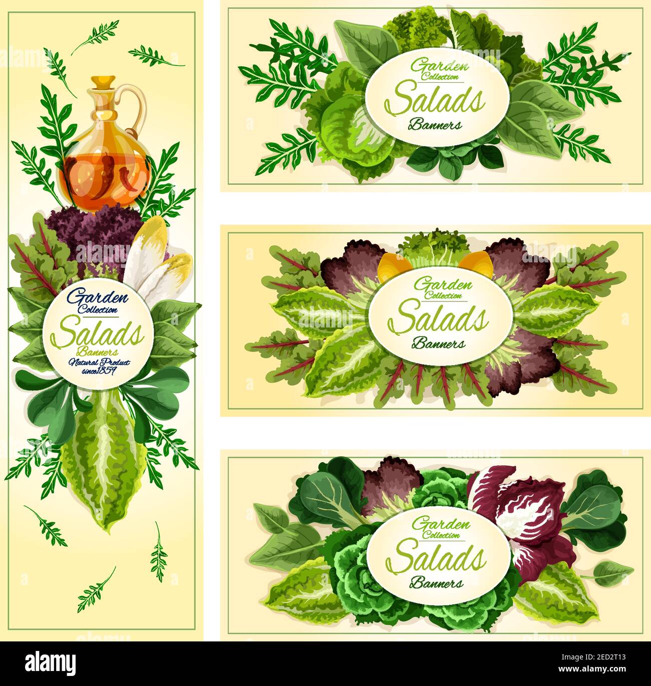 Salad leaf and vegetable greens banner of leafy frames with lettuce ...