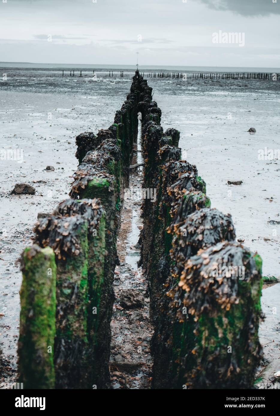 Seafood heaven hi-res stock photography and images - Alamy