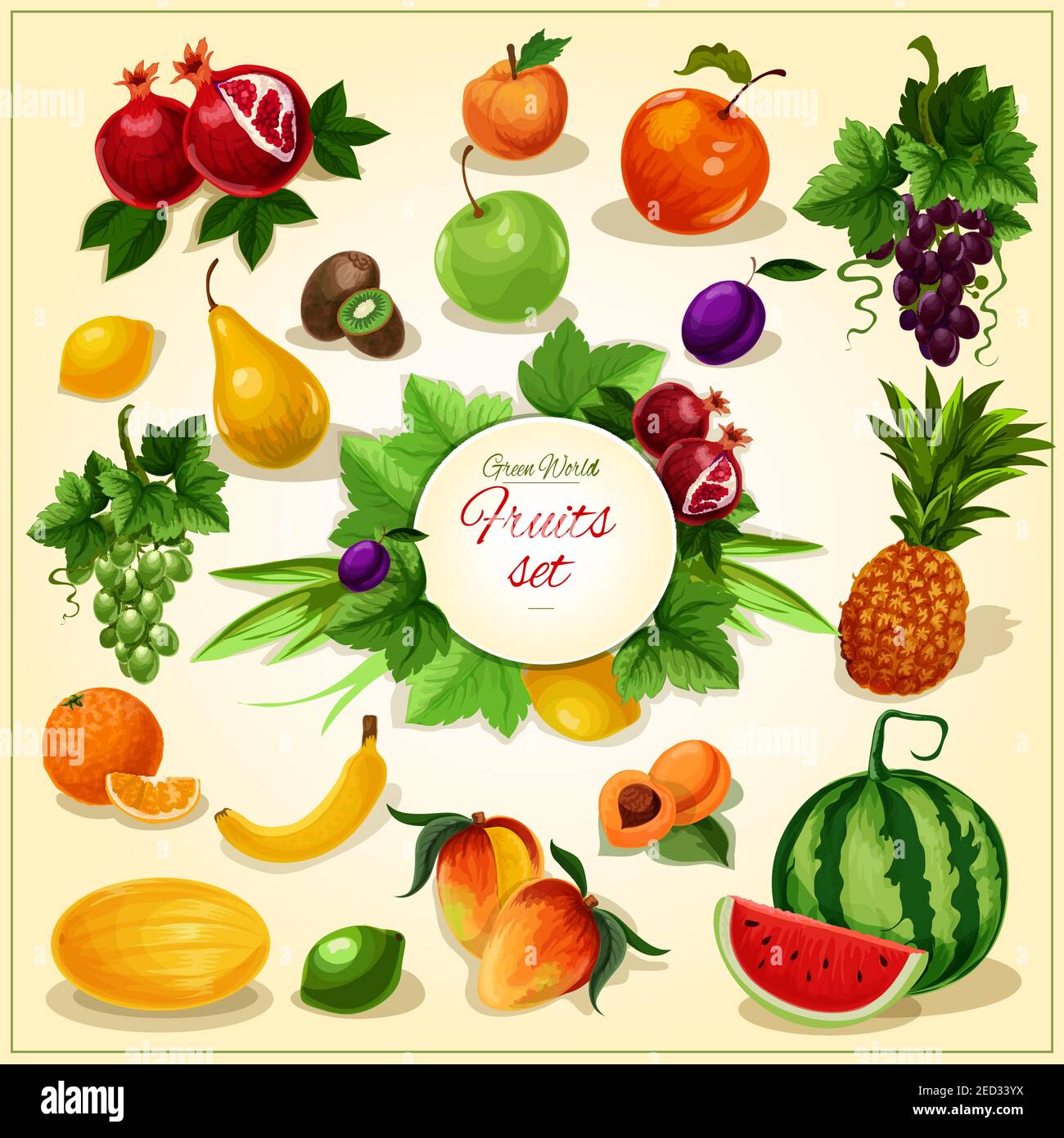 Apricot fruit farm harvest Stock Vector Images - Alamy