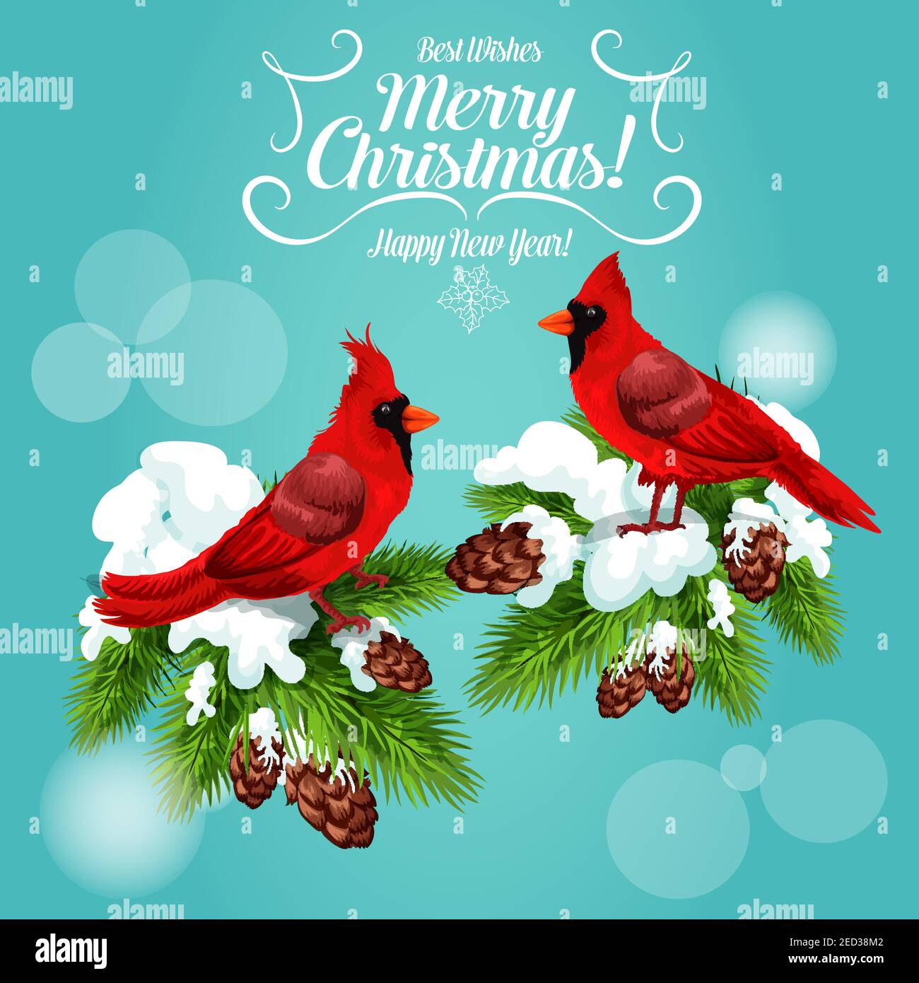 Cardinal on snowy pine branch hi-res stock photography and images - Alamy