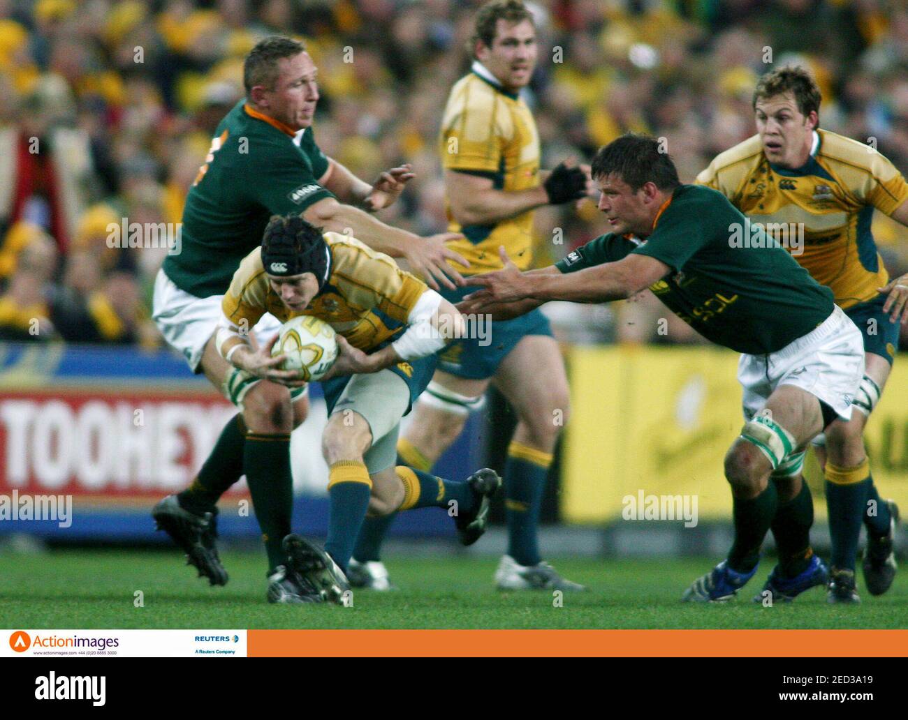 Springbok rugby action hi-res stock photography and images - Alamy