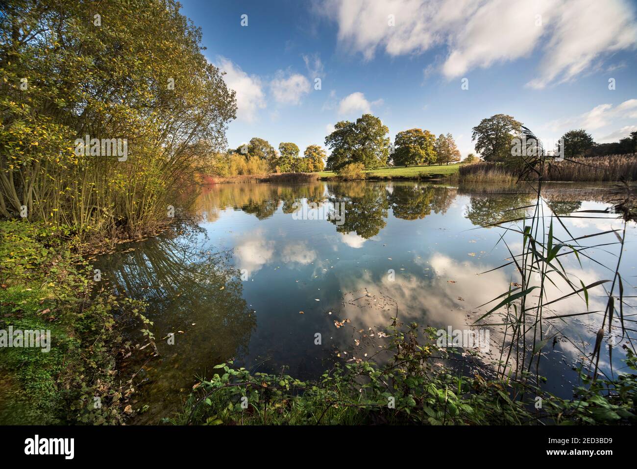 Beautiful pond hidden away in hi-res stock photography and images - Alamy