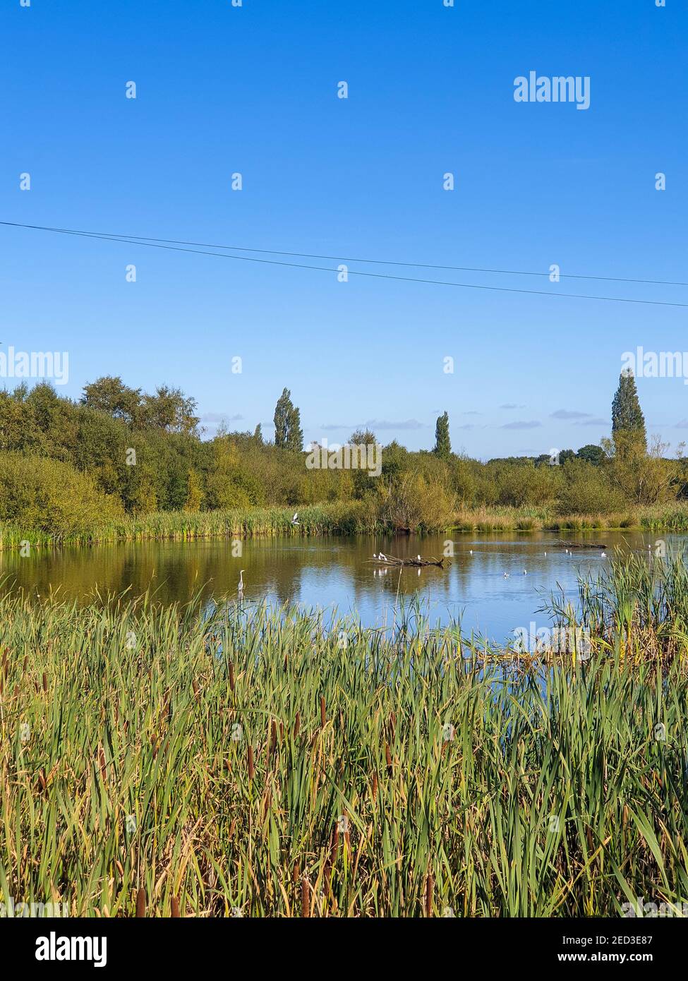 Walsall birmingham hi-res stock photography and images - Alamy