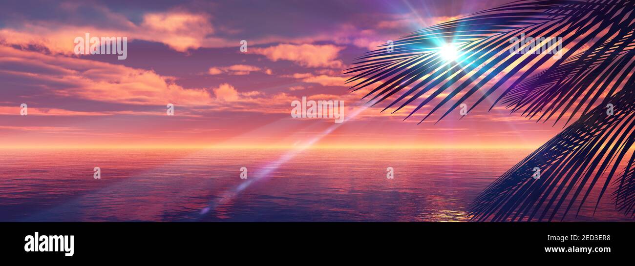 sunset sea palm landscape illustration, 3d render Stock Photo - Alamy