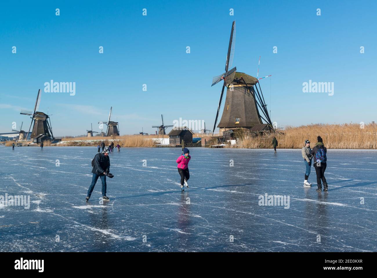 Ice skating between the windmills of Kinderdijk in the winter of 2021 ...