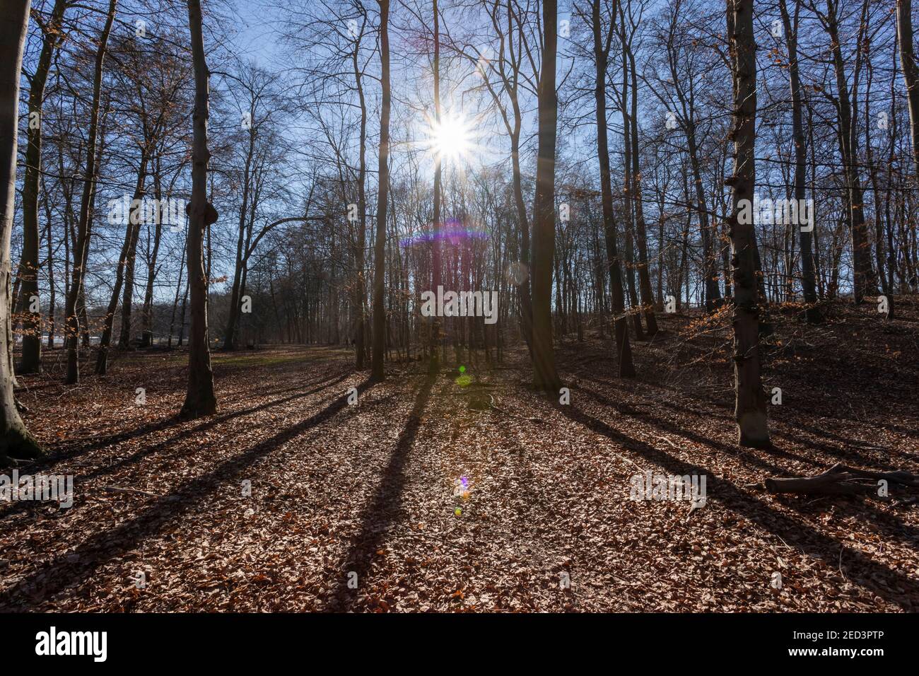 Light trough hi-res stock photography and images - Alamy