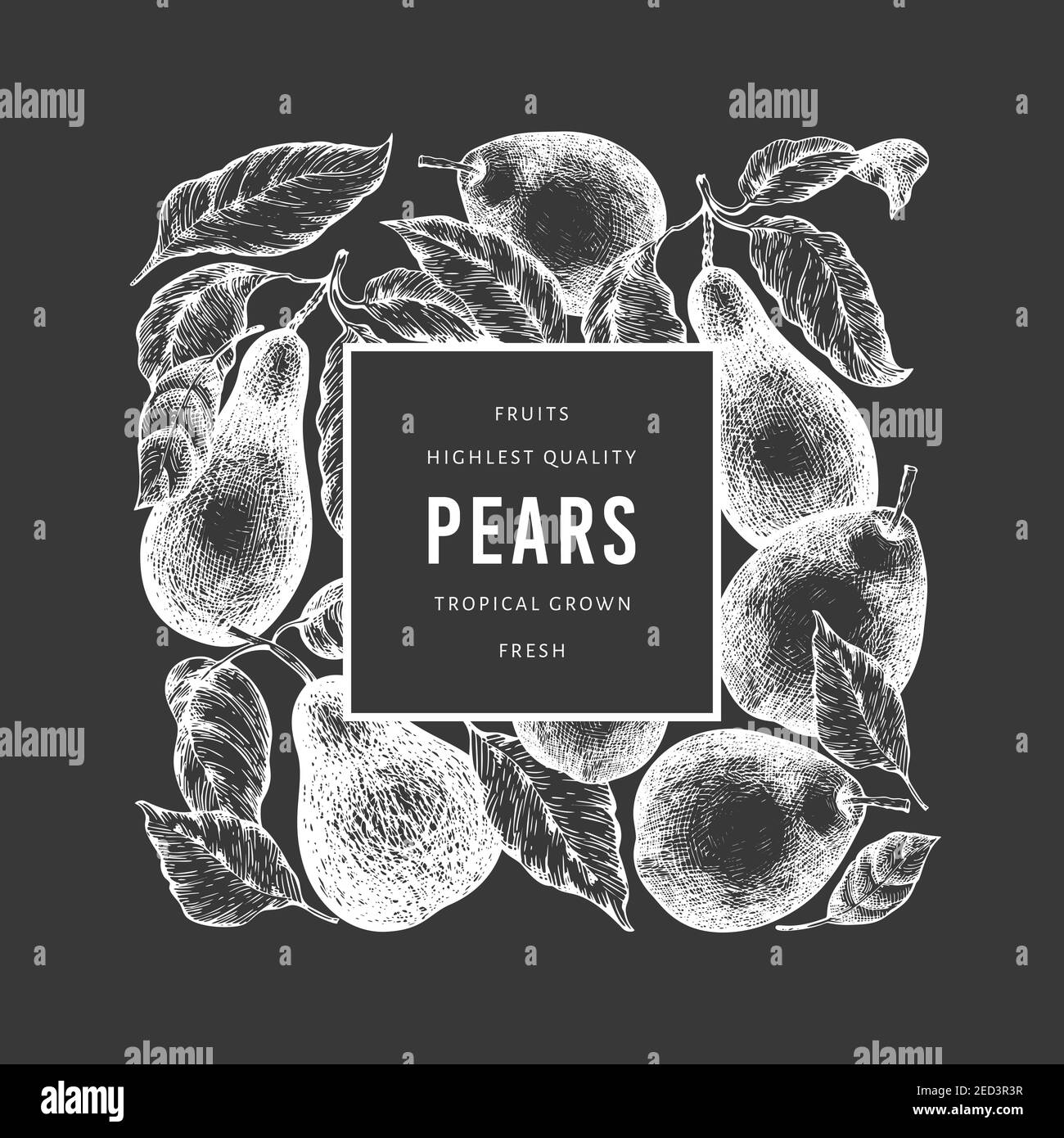 Pear design template. Hand drawn vector garden fruit illustration on ...